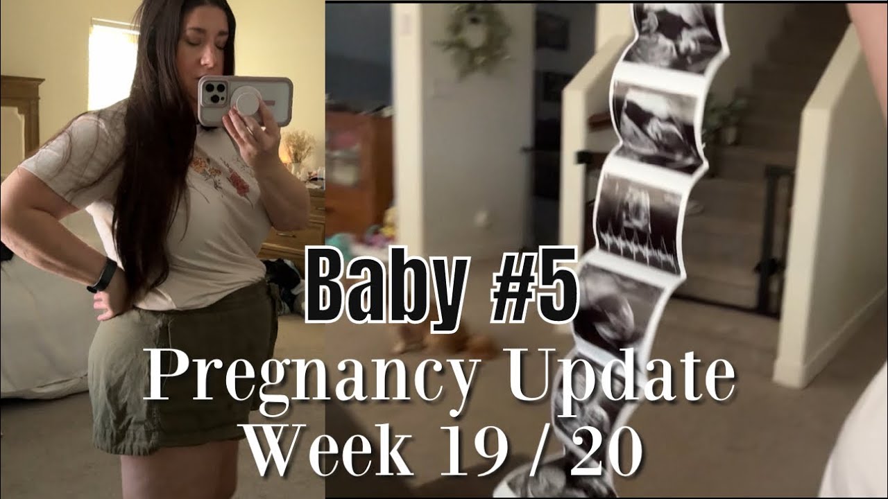 High risk pregnancy update & anatomy scan results - YouTube