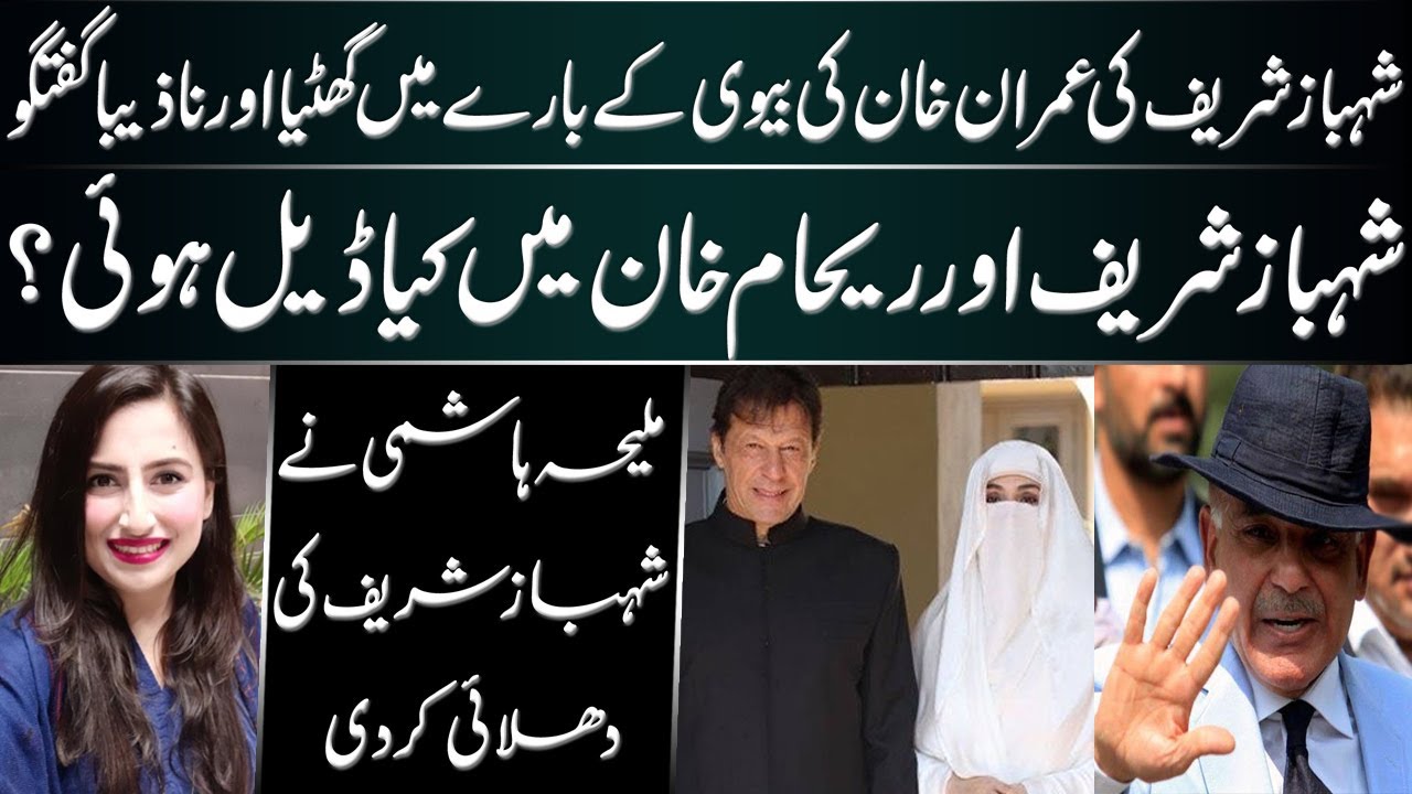 Maleeha Hashmey GRILLS Shahbaz Sharif for attacking PM Imran Khan's ...