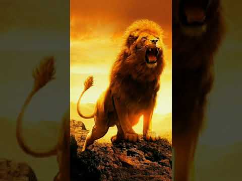#İBADƏT #DİNİ VİDEO