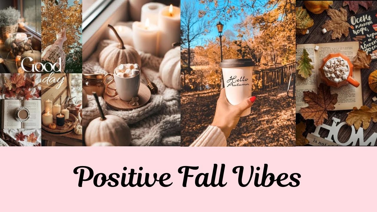 POSITIVE FALL VIBES🍂🍁🍃 - YouTube