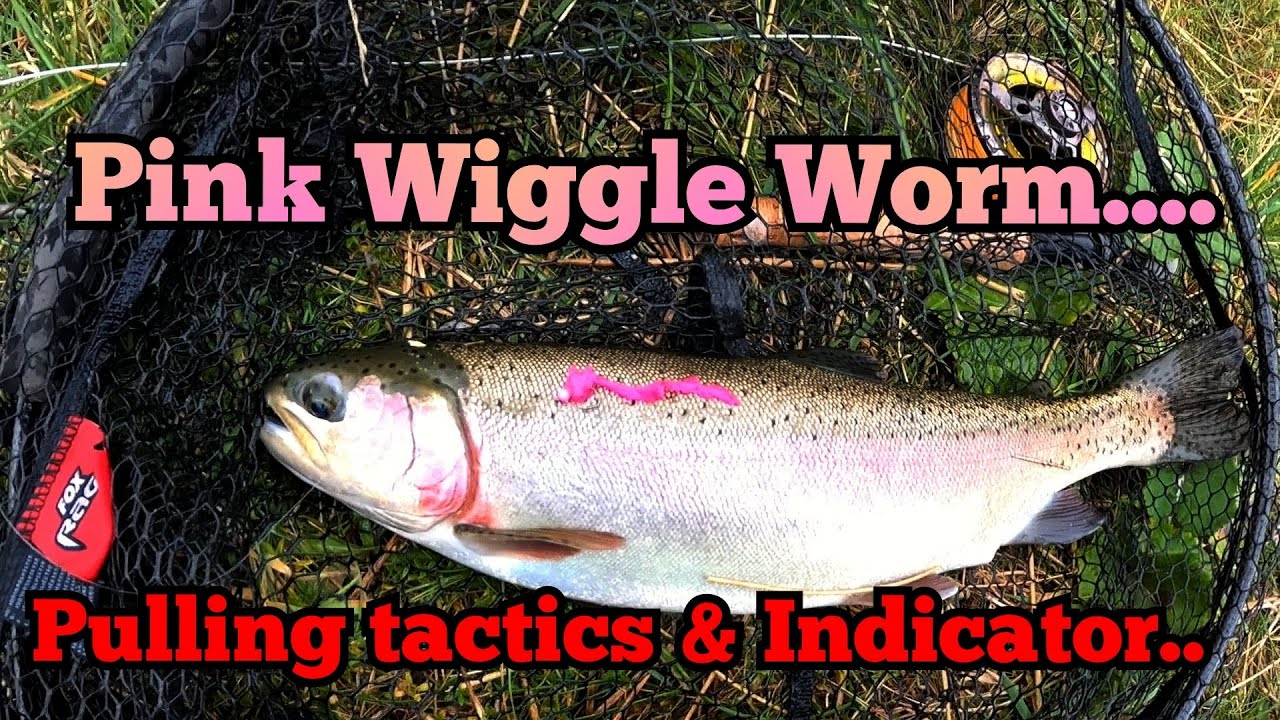 We managed a few RAINBOW TROUT on BUNG & PULLING TACTICS #flyfishing # ...