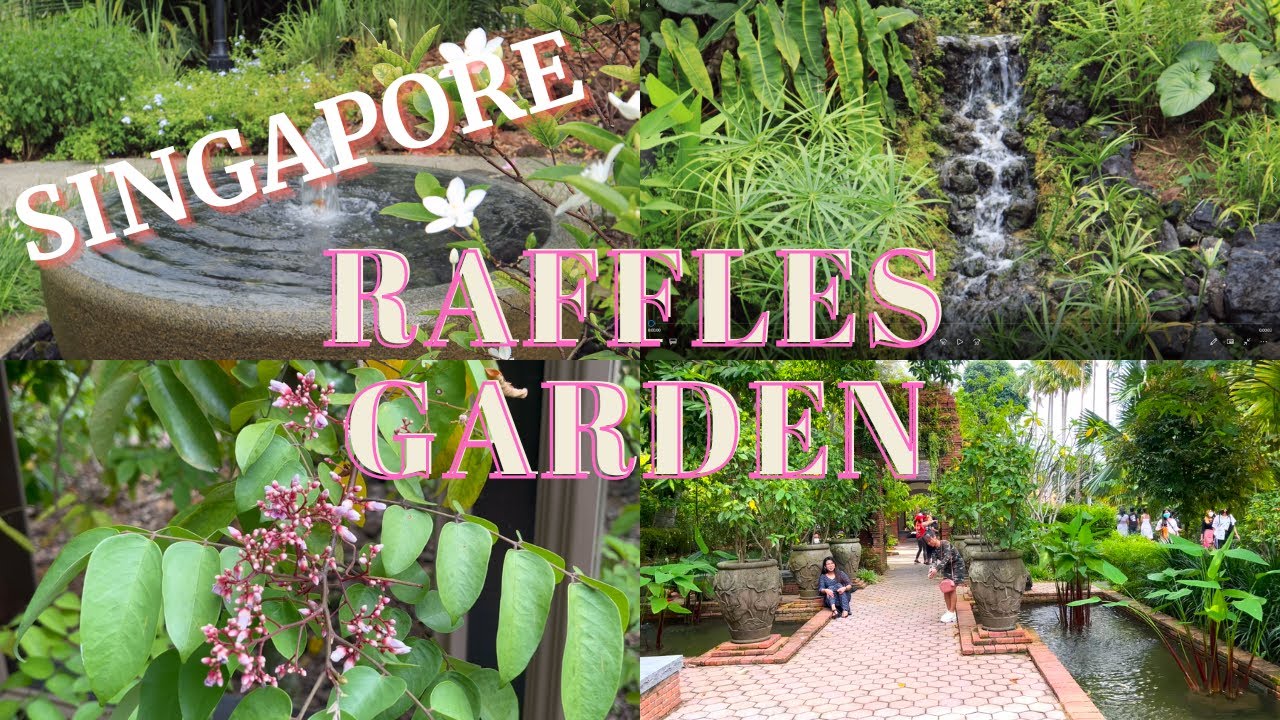 RAFFLES GARDEN SINGAPORE.সিংঙ্গাপুর রেফেলস্ গার্ডেন। - YouTube