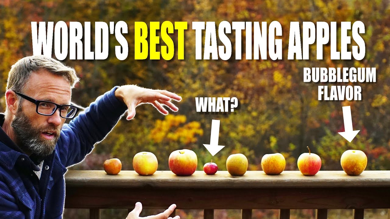 Tasting The Worlds Best Flavored Apples - YouTube