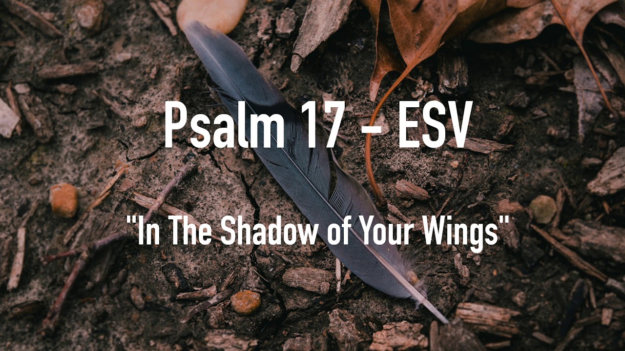 Psalm 17 - Narration - YouTube