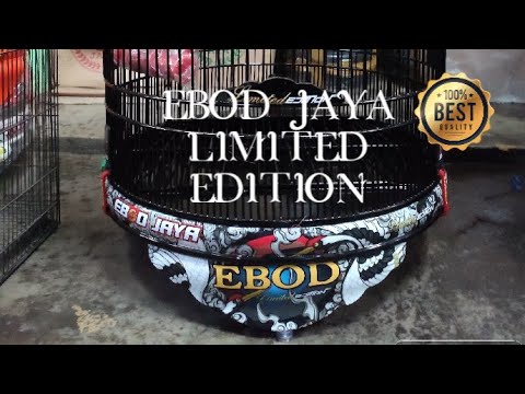 SANGKAR PVC EBOD JAYA | LIMITED EDITION - YouTube