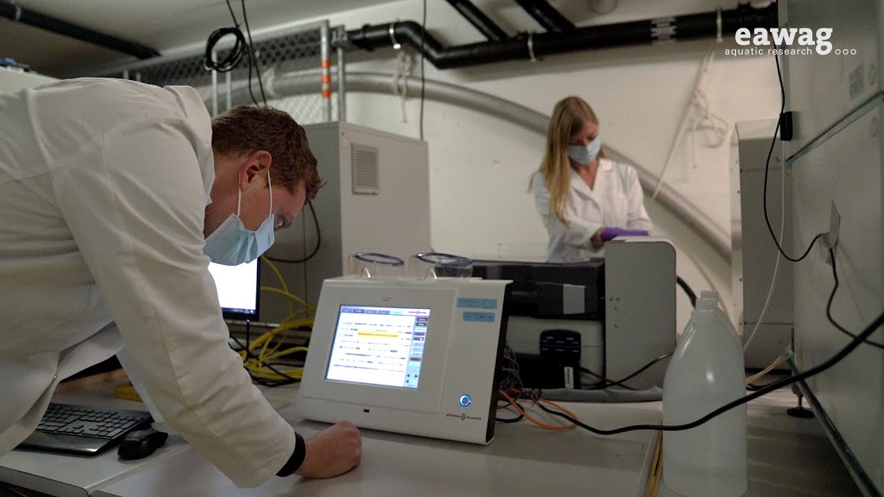 Real-time biomonitoring for wastewater treatment plants - YouTube