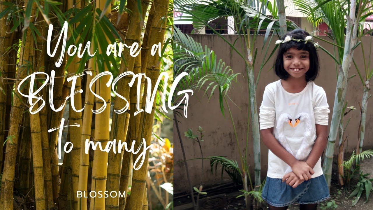 Blessing | You are a Blessing | Blossom - YouTube
