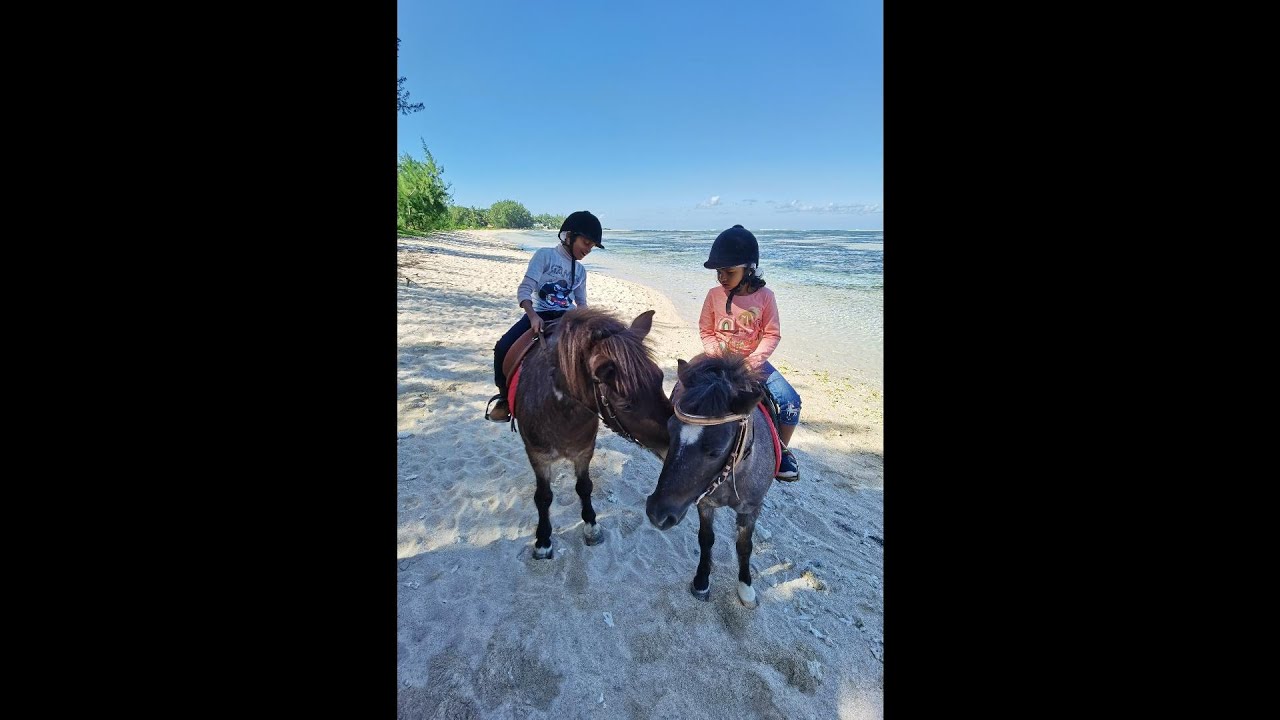 Paradise Island # Mauritius # Horse Riding # Riambel - YouTube