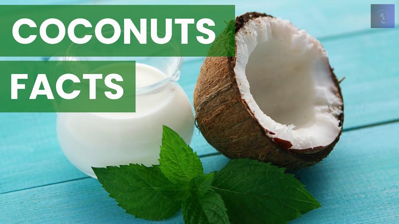 Health Facts About Coconuts You Must Know - YouTube