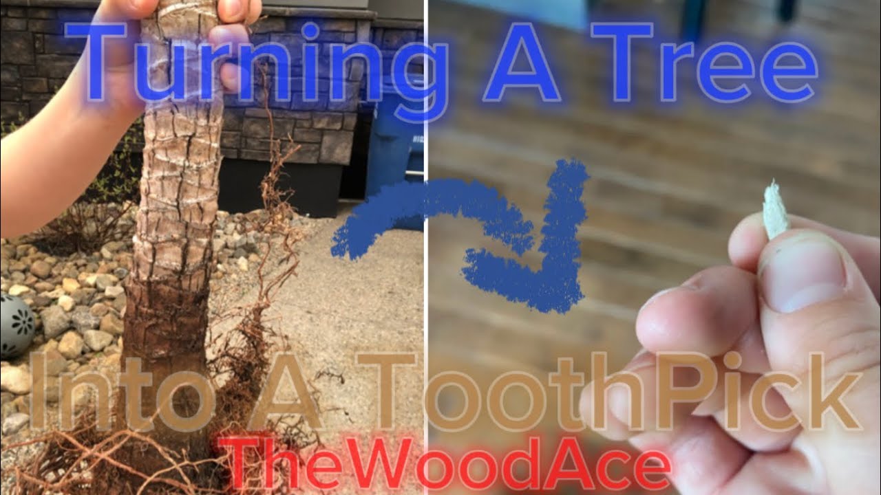 Turning A Tree Into A ToothPick!! @The_WoodAce - YouTube