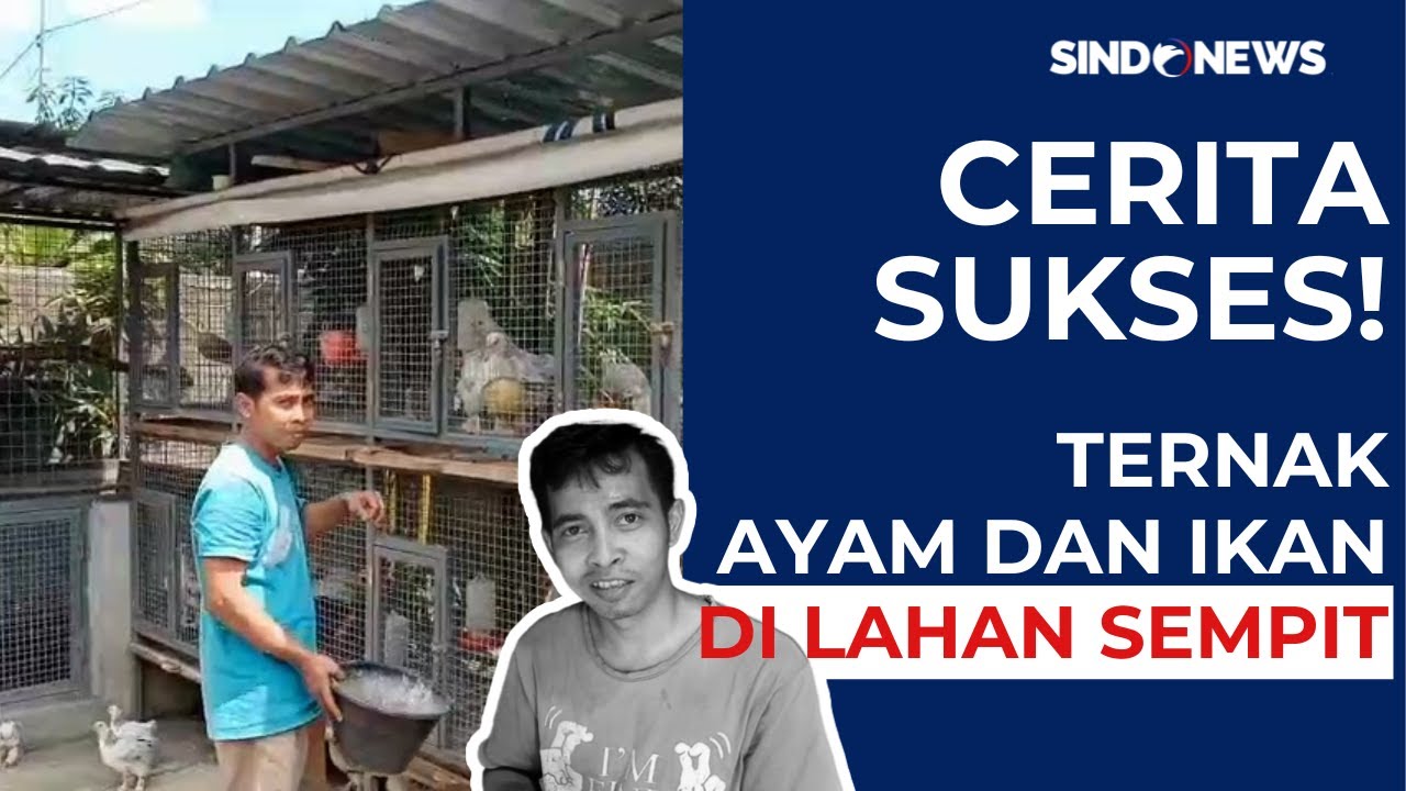 Mengintip Peternakan Mini di Purworejo yang Hasilkan Cuan Jutaan Rupiah ...