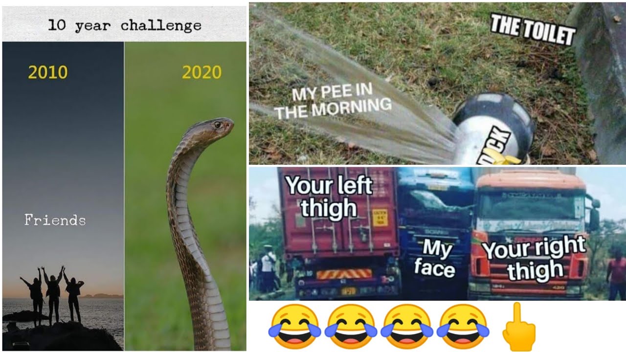 FUNNY MEMES WHICH CAN DOUBLE YOUR IQ LEVEL - YouTube