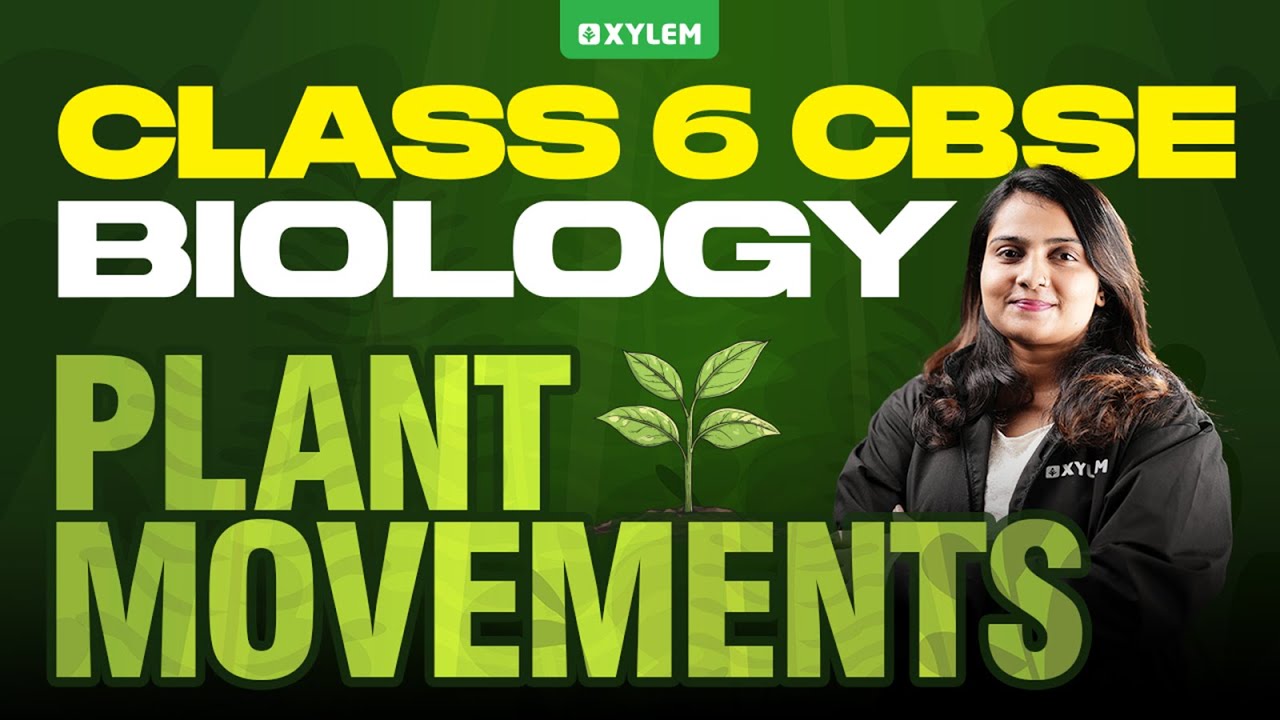 Class 6 CBSE Biology | Plant Movements | Xylem Class 6 CBSE - YouTube