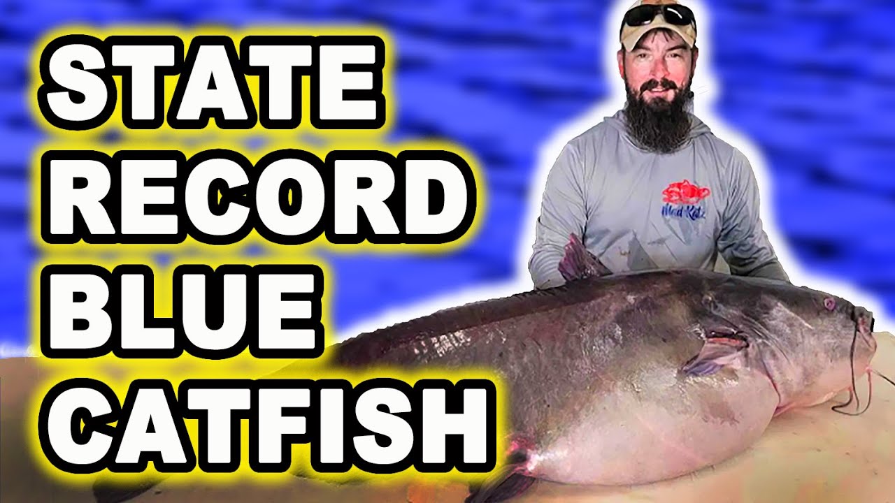 The Truth Behind Two State Record Blue Catfish - YouTube