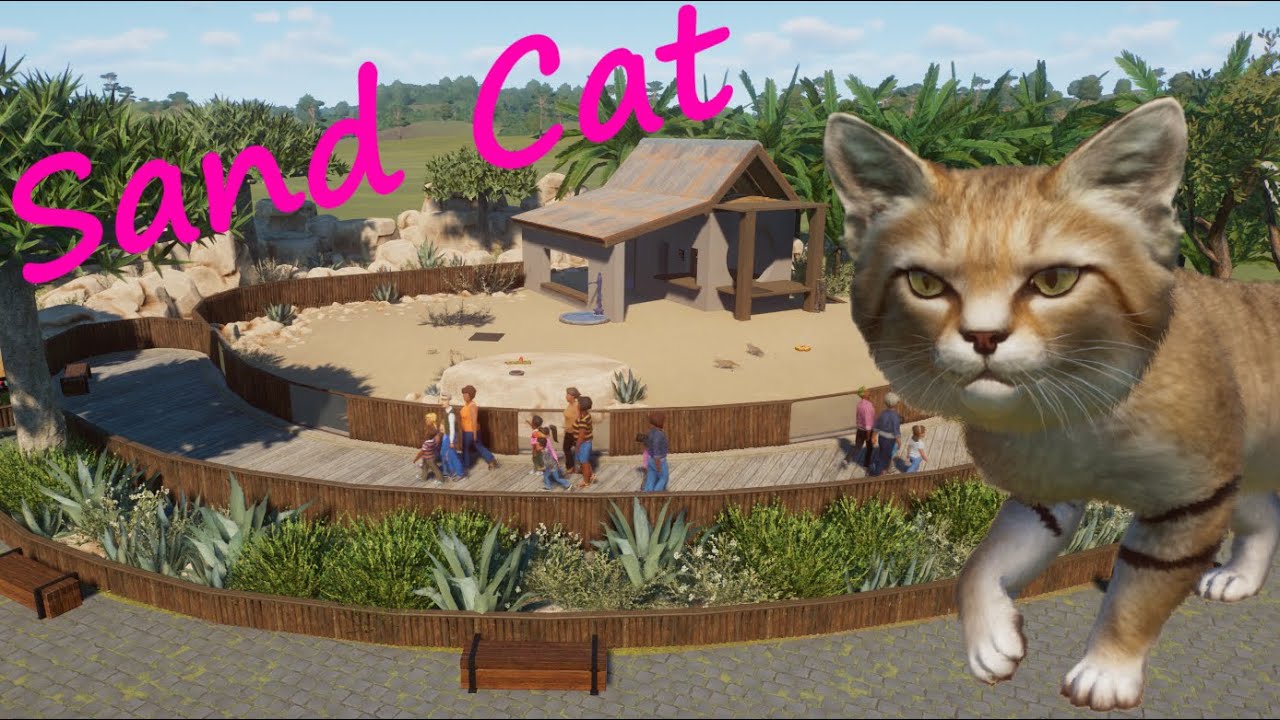Sand Cat - Smalzie Zoo - YouTube