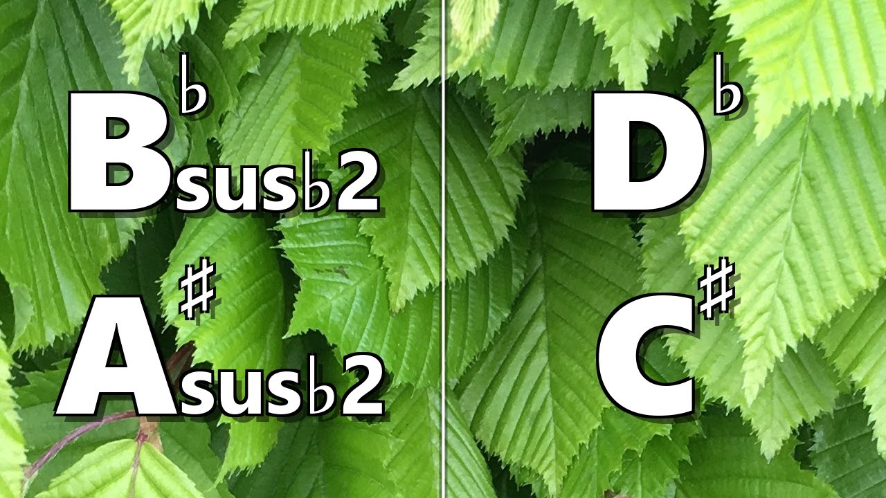 Bbsus b2 (A#sus b2) to Db (C#) Backing Track - YouTube