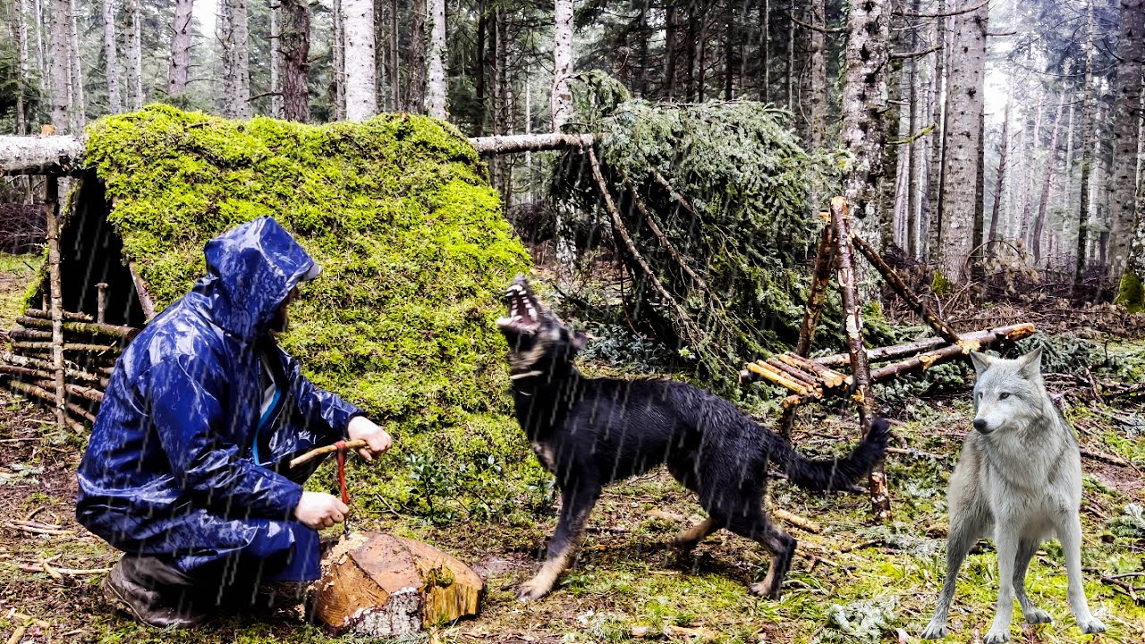Camping in the Wild with My Wolf Dogs in the Rain 🪓 Bushcraft Shelter 🔥 ...