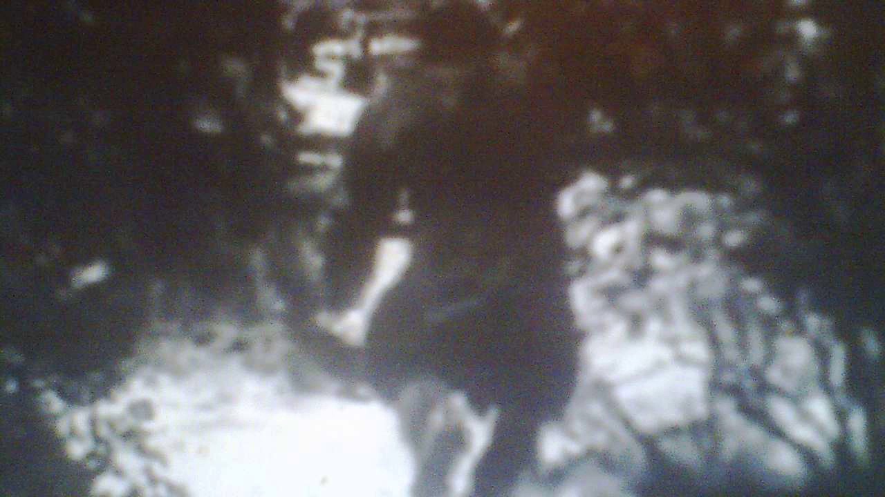 Old photo of Bigfoot-circa=1945 - YouTube