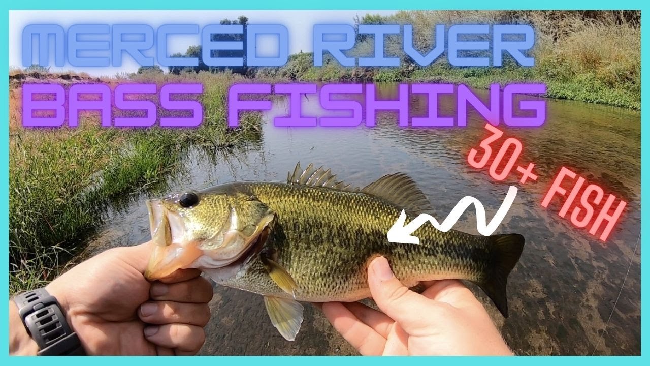 Merced River Bass Fishing Central California - I Caught 30+ Fish in One ...