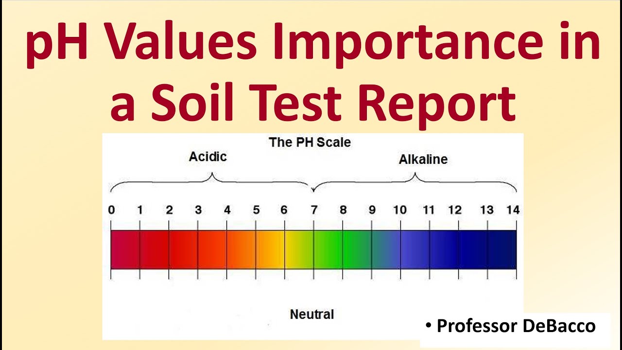 pH Values Importance in a Soil Test Report - YouTube