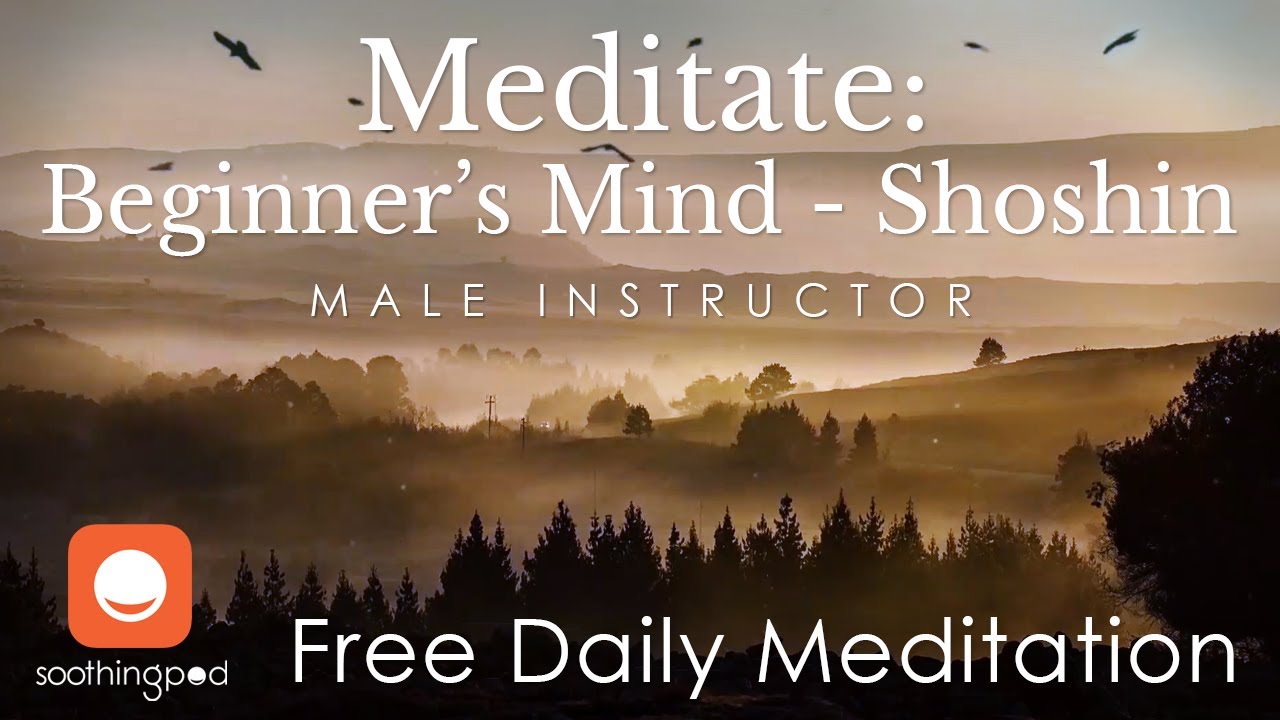 Daily Philosophy | 💚 Beginner's Mind - Shoshin | Mindfulness Guided ...