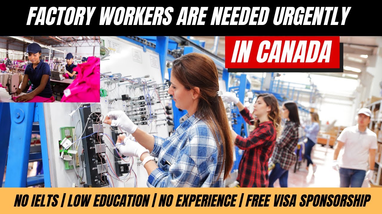 Factory Workers Are Needed In Canada Urgently | No IELTS | No ...