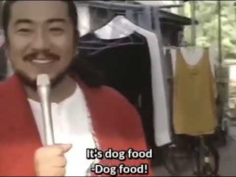 Following a Japanese Dog.