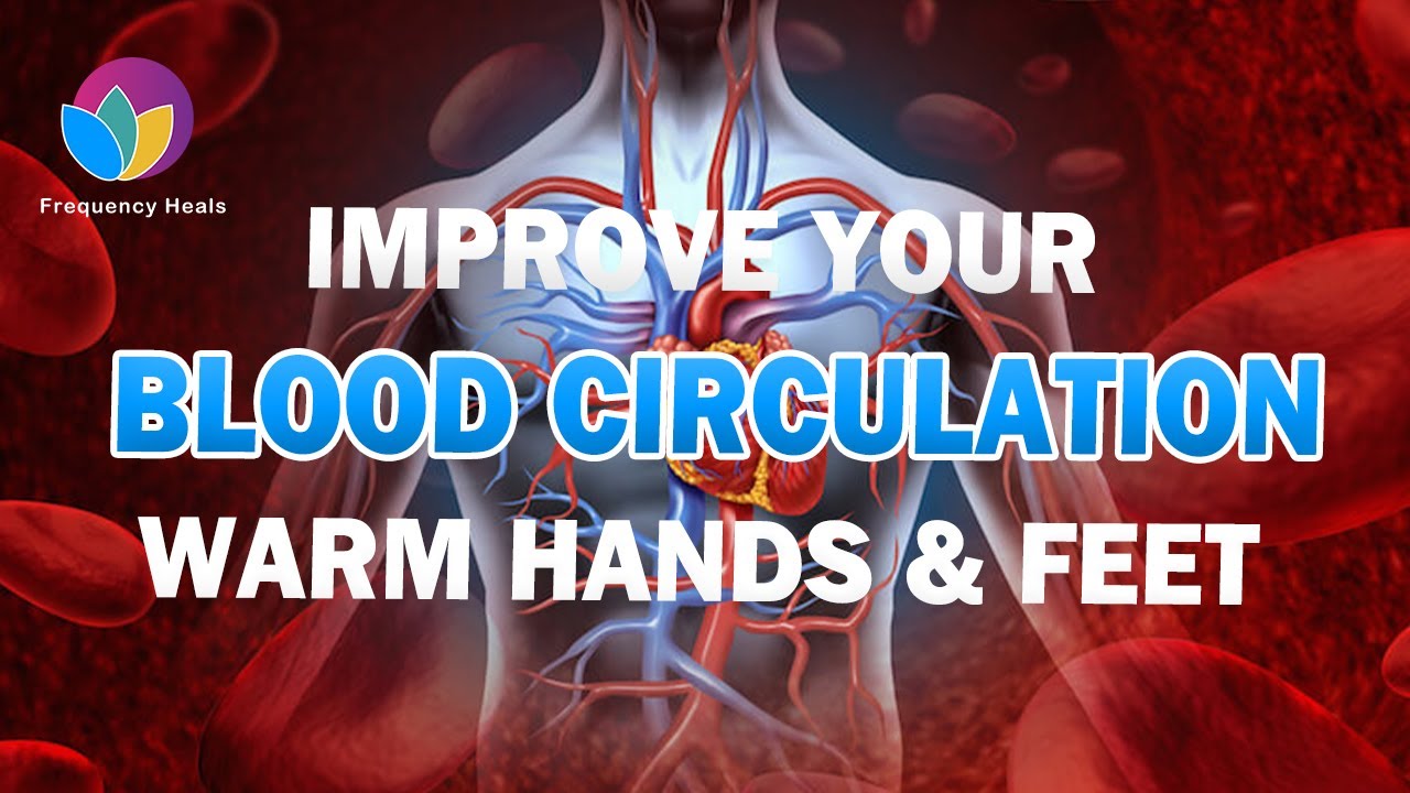 Blood Circulation Improvement | Speed Up Your Blood Flow & Prevent ...