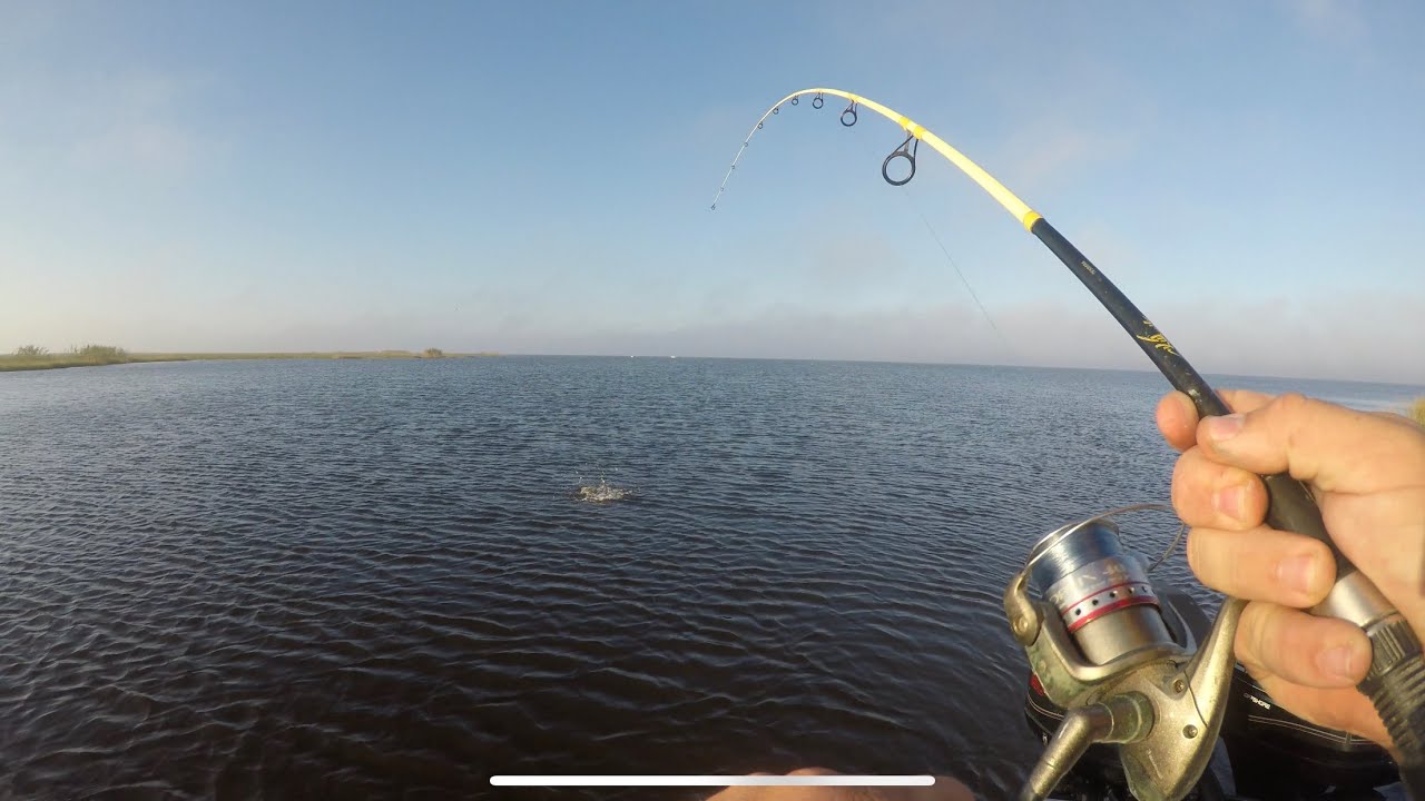 TONS of fish on Sabine Lake! 7 species in one day! - YouTube