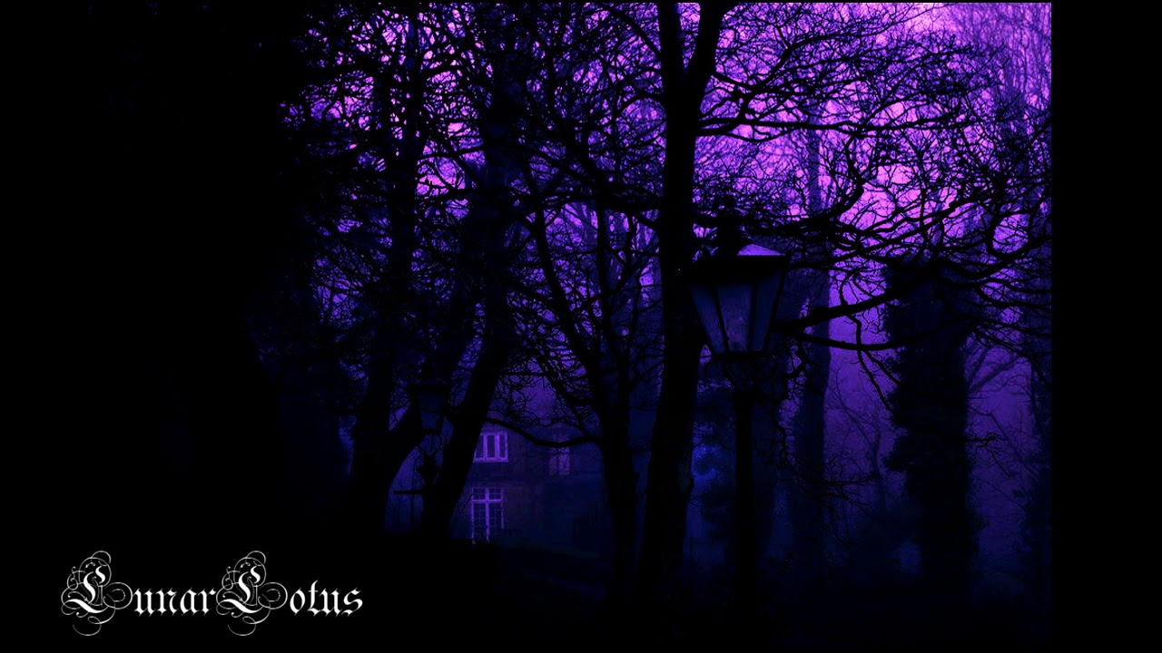 1 Hour of Gothic & Quiet Music - YouTube