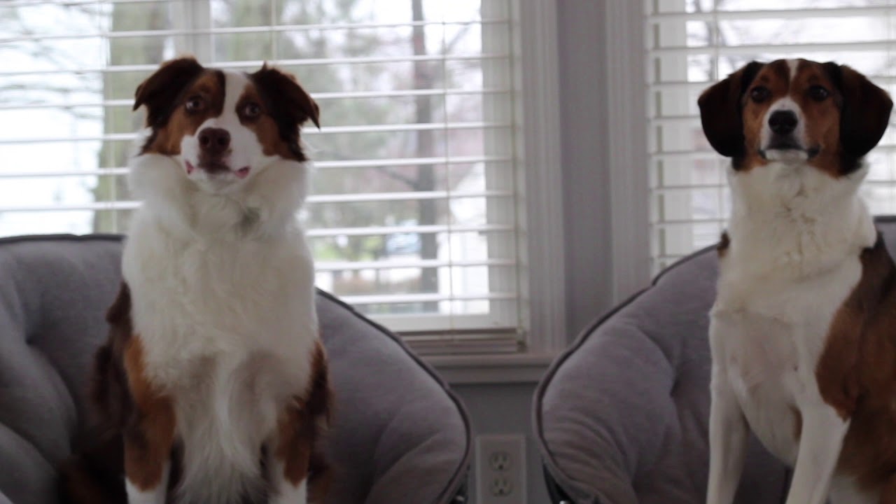 Remy & Riley COVID-19 Interview - YouTube