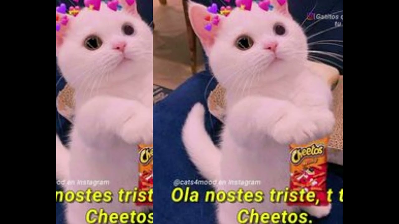 uwuwuwuwu mi mejor amiga - YouTube