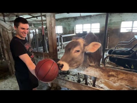 Barn Ball ( ft coop daddy ) - YouTube