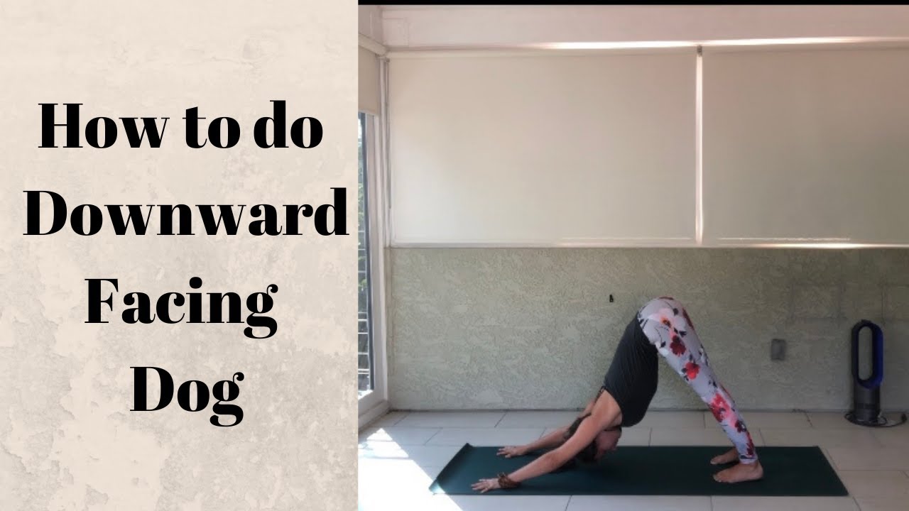 How to do Downward Facing Dog for YOUR body - YouTube