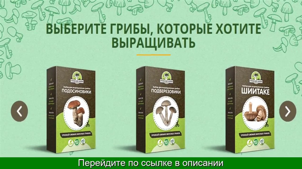 Семена Грибов Для Выращивания - YouTube