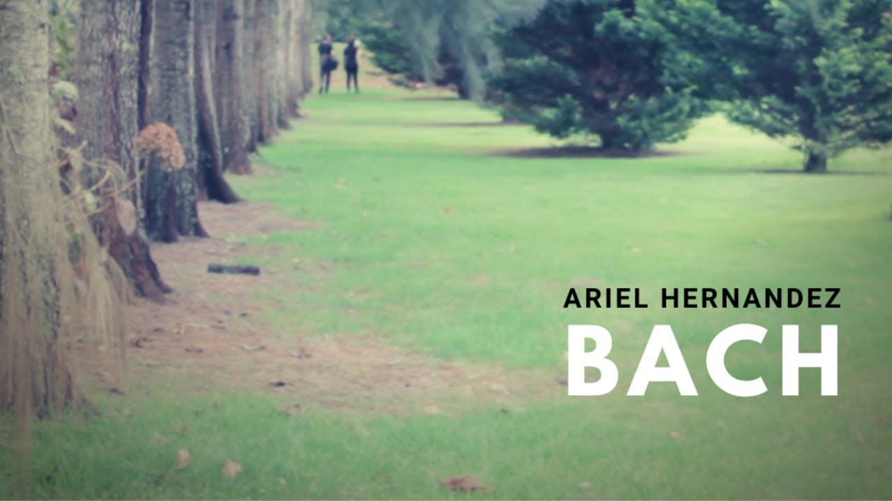 Aria de la Suite N3 de J.S.Bach- Ariel Hernández - Bandoneon Solo - YouTube