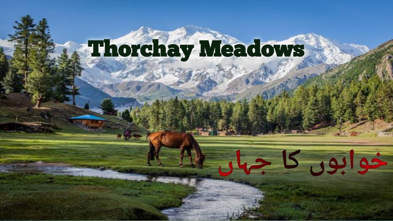 Thorchay meadows skardu|Dream land|#mountains - YouTube