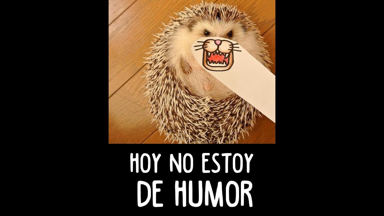 reaccionando a los adn ( si te ries pierdes ) kris el regio - YouTube