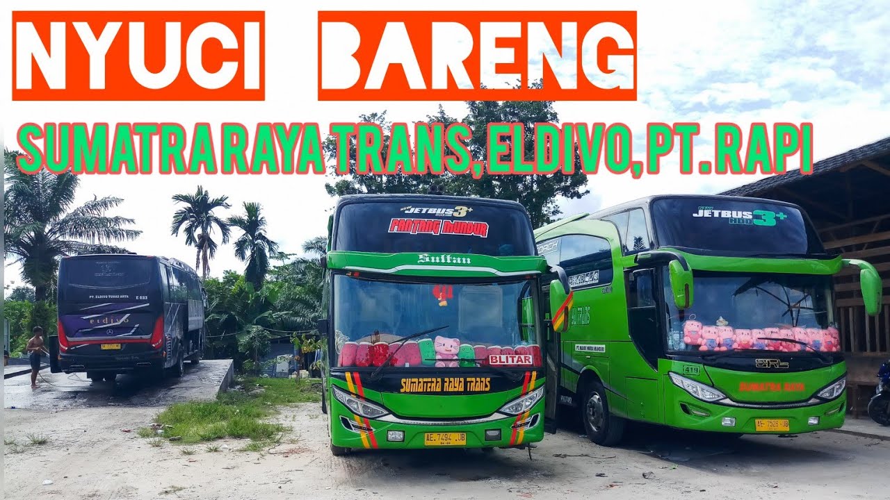 Pemain Lintas Jauh " Sumatra Raya Trans, Cendana " Nyaman satu Cucian ...