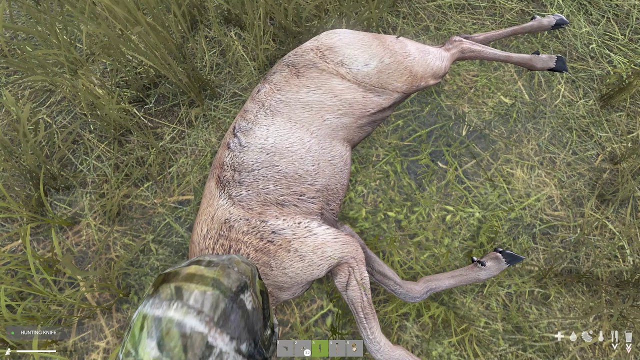 DayZ .63 - A Hunting Experience, & cooking over a campfire in the woods ...