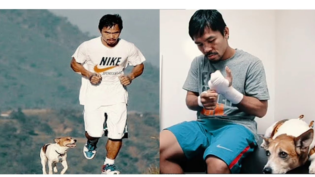 Alagang Aso ni Sen.Manny Pacquiao Pumanaw Na! (Pacman) The Trainer Dog ...