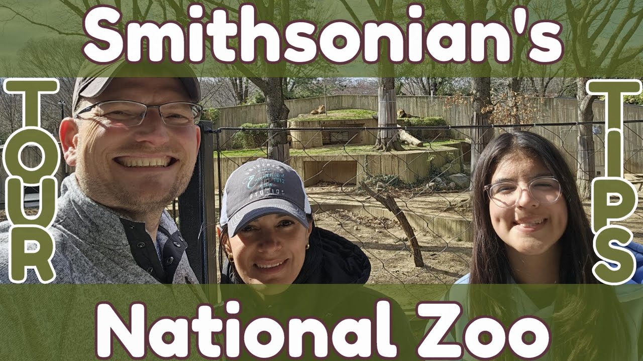Smithsonian's National Zoo | March 2023 | Tour & Tips - YouTube