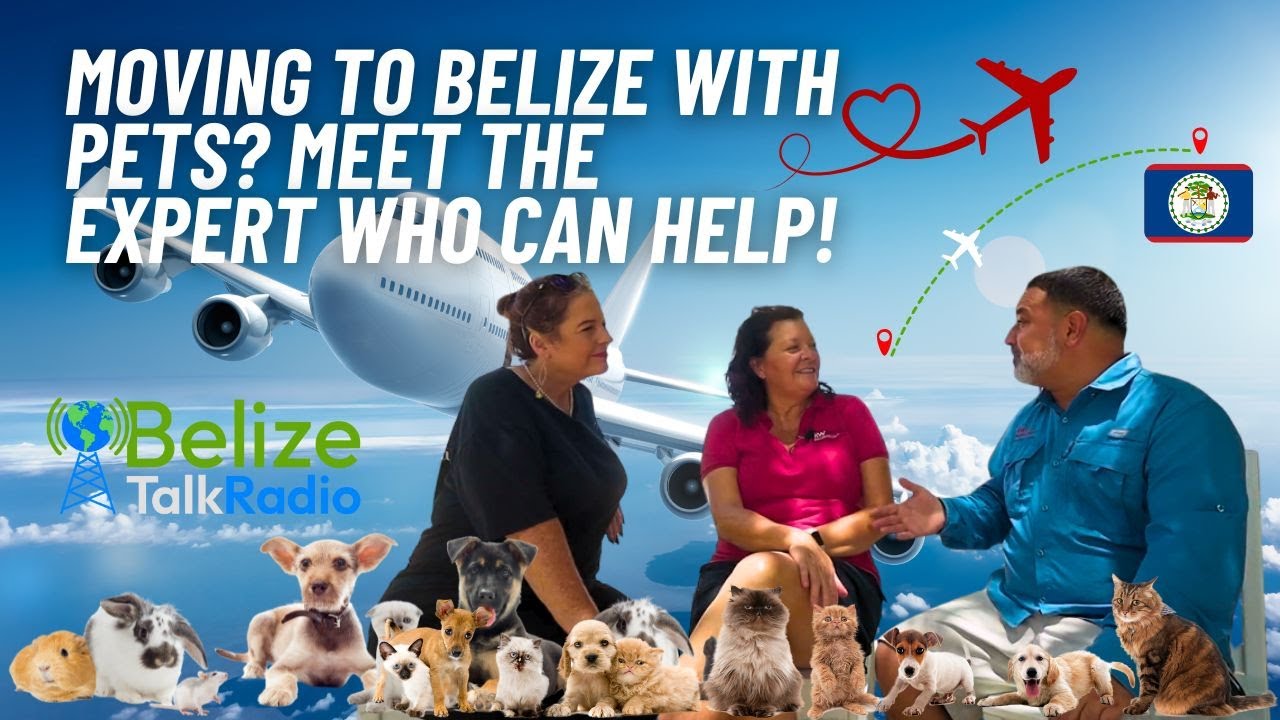 Moving to Belize with Pets? Meet the Expert Who Can Help | Belize Talk ...