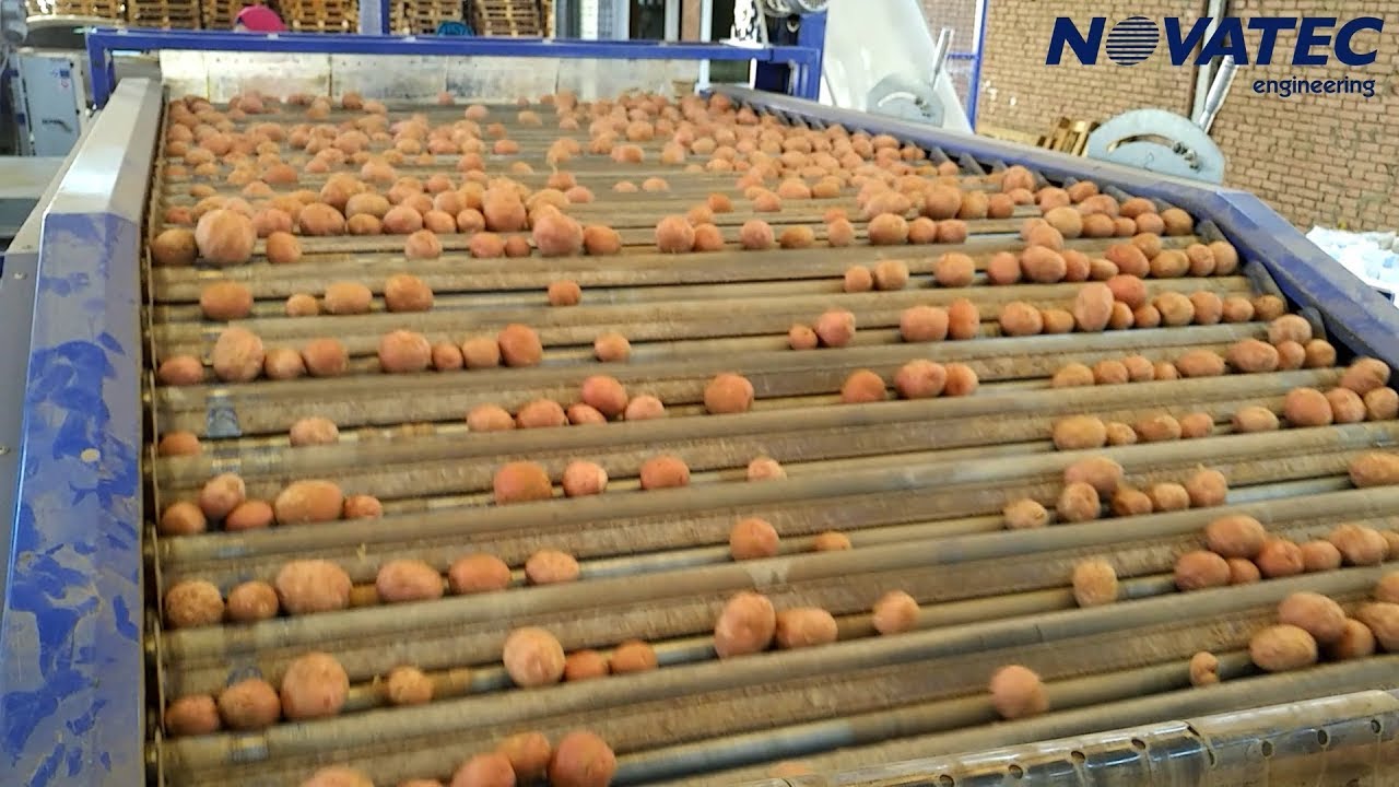Novatec S.A. - Sorting, Weighing & Packing Line for Potatoes - YouTube
