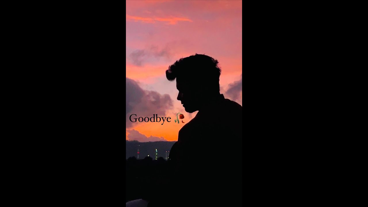 Goodbye - Lekhak | MTV Hustle 03 | Cover by Salim Khan Music - YouTube