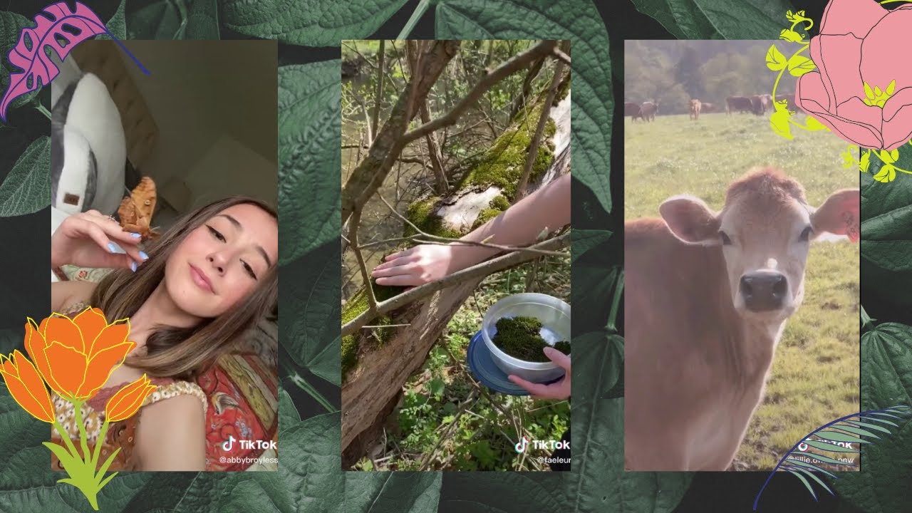 Cottagecore TikToks to show your friends and lovers to convince them to ...
