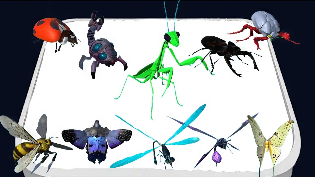 MAX LEVEL - Merge Ant: Insect Fusion ⚜️ Merge Master - YouTube