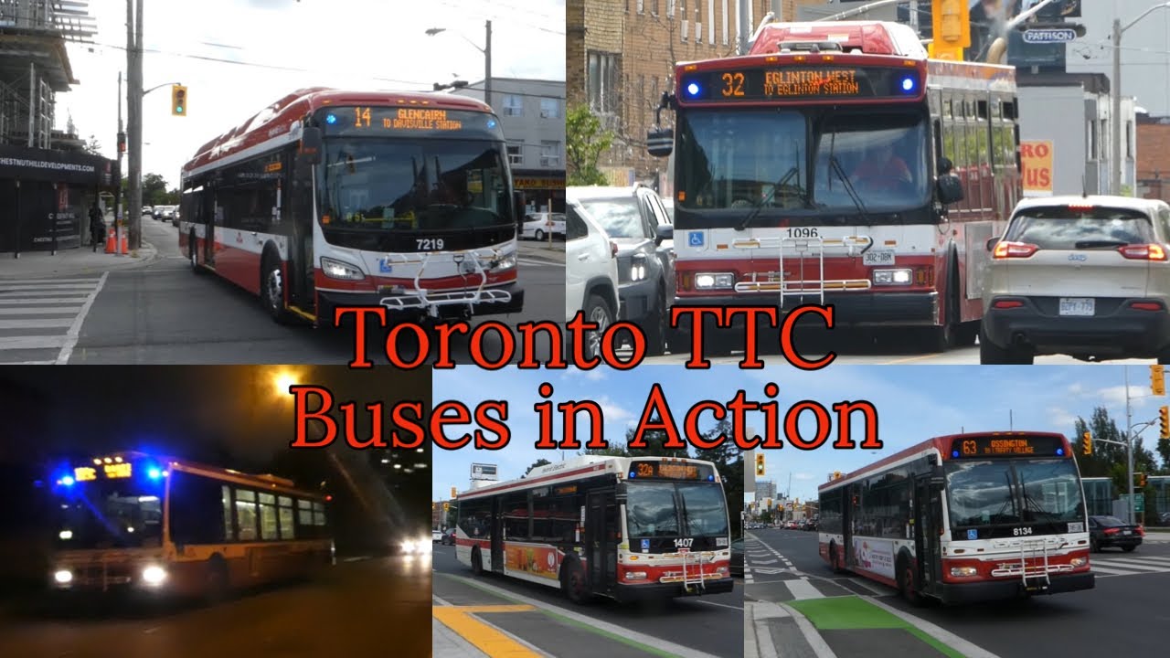 Toronto TTC Buses in Action - August 11-13, 2023 - YouTube