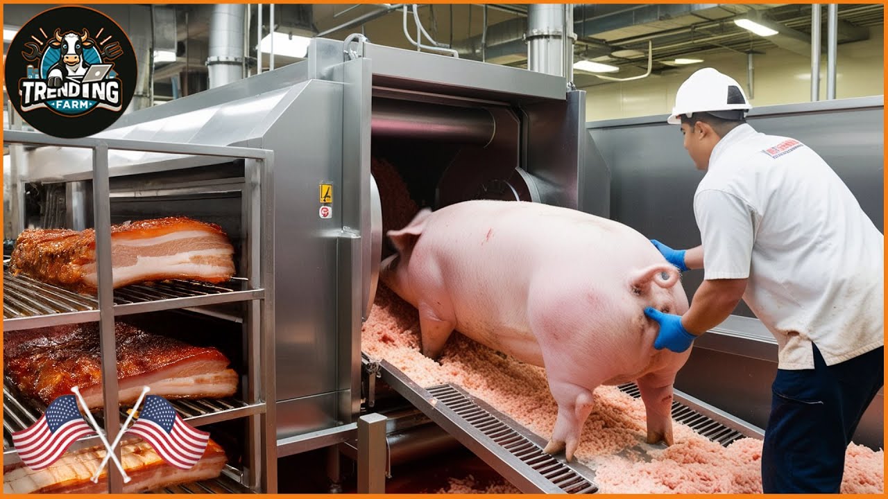 How Traditional Smoked Pork Belly & Cured Sausages Are Made In American ...