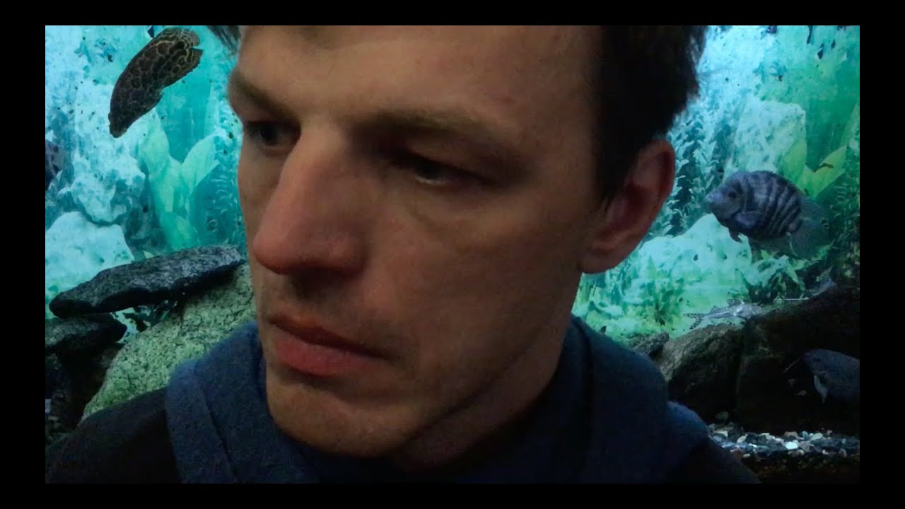 Edgars Rubenis - Premonition Rag - YouTube